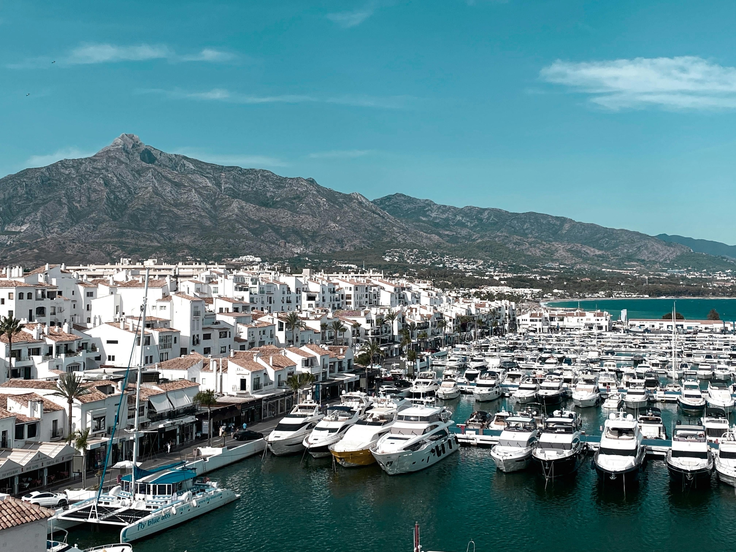 Boost Your Marbella Business with SEO: A Beginner’s Guide - INNOVA